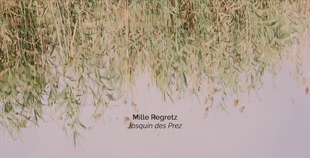 Mille Regretz by Dolce Rima - Clara Muñoz